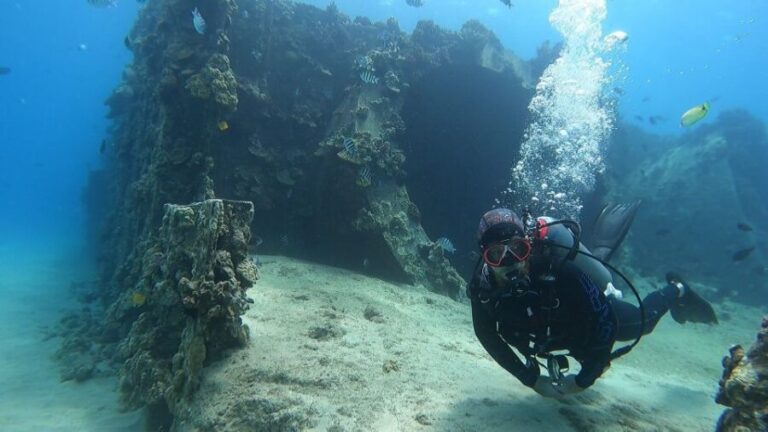 Oahu: Beginner SCUBA Dive at Electric Beach - The Value of the Experience
