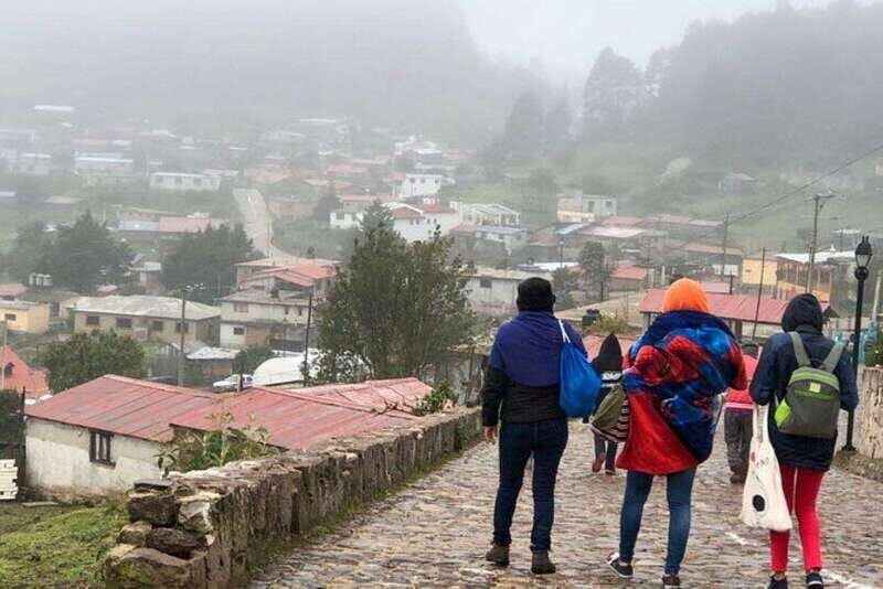 Oaxaca: Forest and Nature Walking Experience - Starting Point: Monumento Benito Juárez
