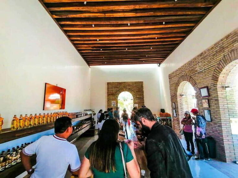 Oaxaca- Mezcal Voices - Why This Tour Can Be a Great Value