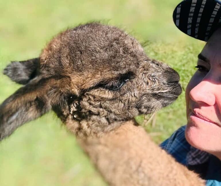 Oberon: Kenzell Farm Tour  A Hands-On Animal Adventure! - Balancing Value and Experience