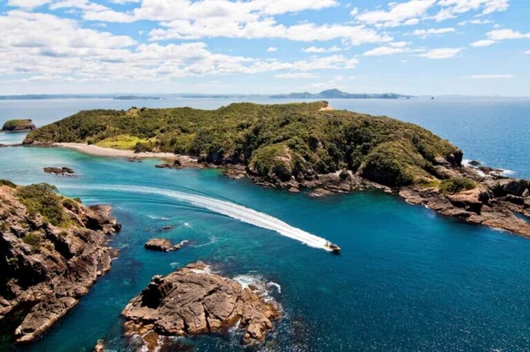 Paihia: Hole in the Rock Fast Boat Ocean Adventure - Itinerary Breakdown: What You Can Expect