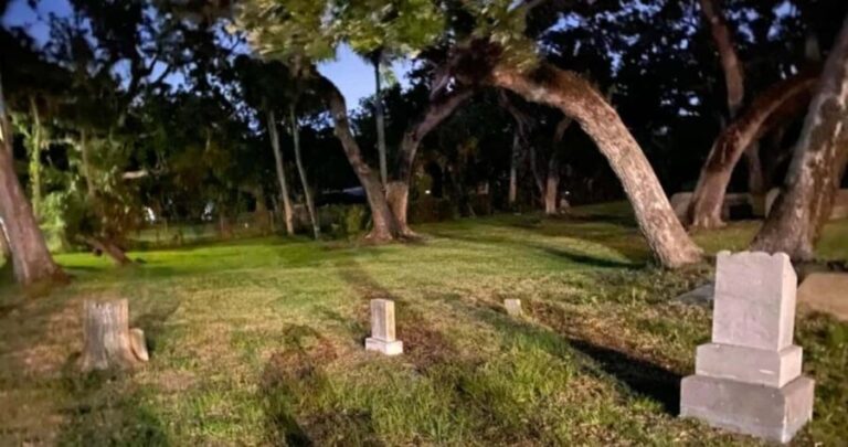 Palmetto: Ghost & History Tour by Silent Slayer Ghost Tours - Practical Details and Tips