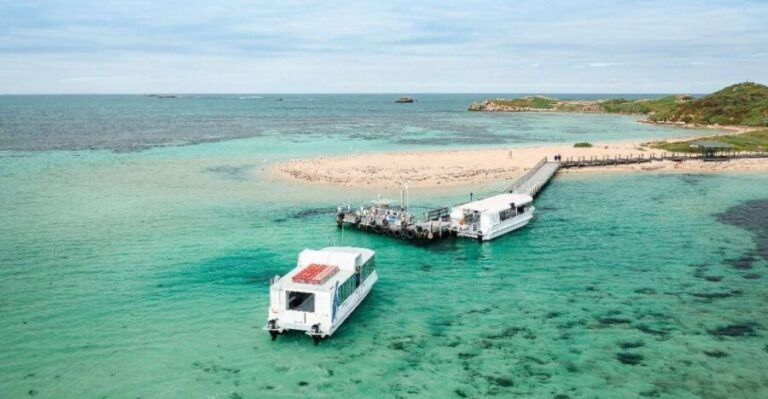 Perth: Dolphin, Sealion & Wildlife Cruise with Lunch - Practical Details & Tips