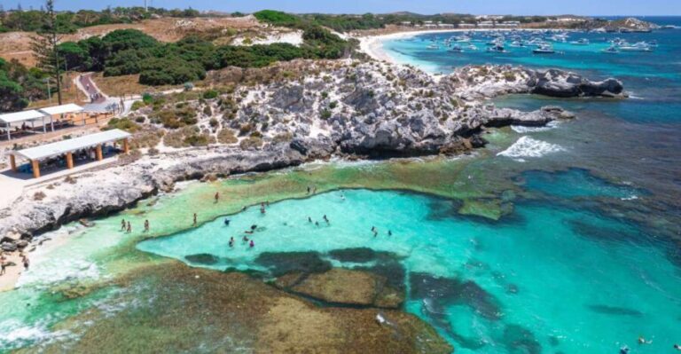 Perth: Rottnest Island Ferry, Bike, Coffee & Lobster Roll - Top Takeaways in Brief
