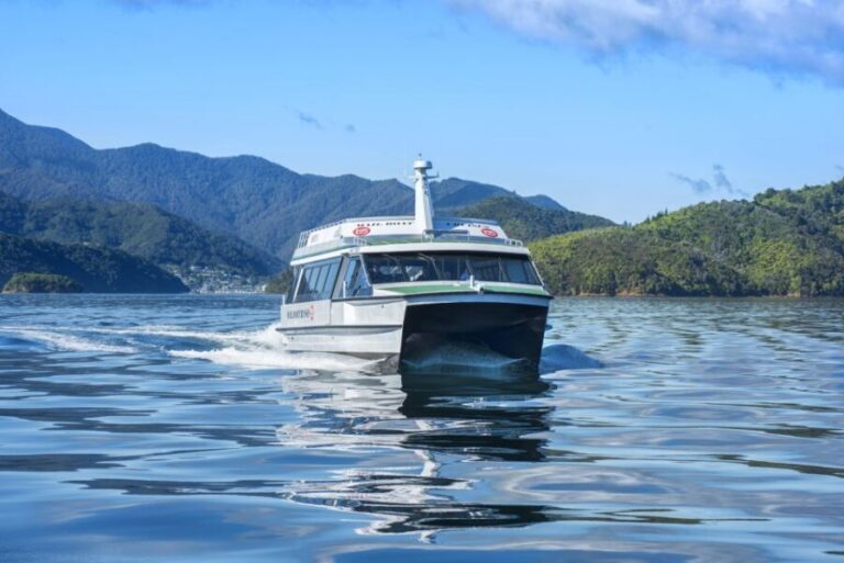 Picton Shore Excursion: Queen Charlotte Sounds Cruise - The Itinerary: What You Can Expect