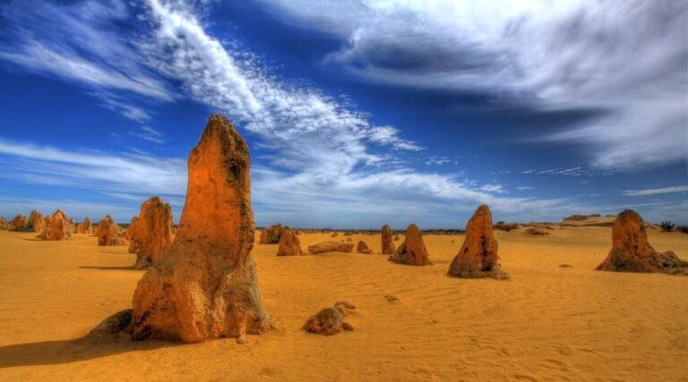Pinnacles, Koalas & Sandboarding Tour Day Trip from Perth - Discovering the Itinerary in Detail