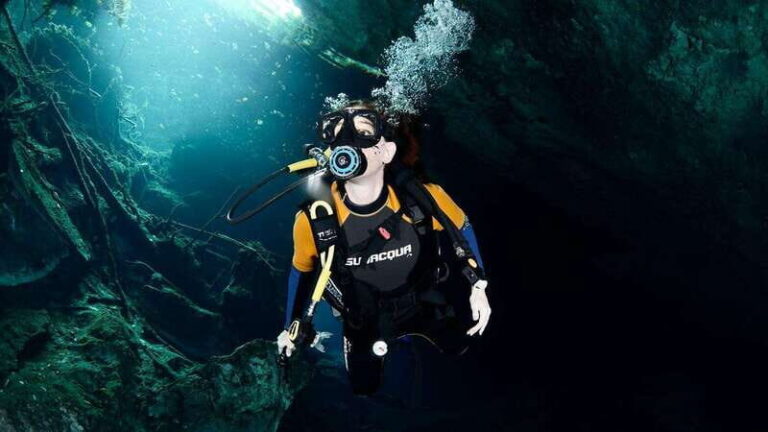 Playa del Carmen: Explore the Surreal World of Cenote Diving - The 6-Hour Journey: What to Expect