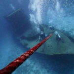 Playa del Carmen: Wreck Dive Mama Viña - Who Will Love This Tour?