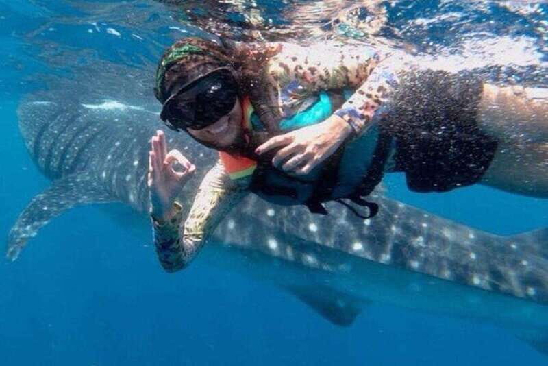 Playa del Carmen:Whale shark Experience in the Caribbean Sea - An In-Depth Breakdown of the Tour Experience