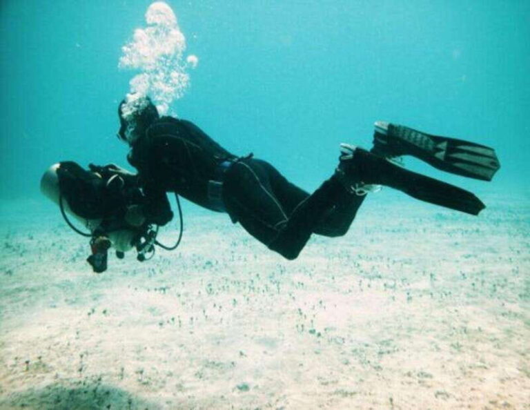 Playa: PADI Dive Master - The Details: Breaking Down the Itinerary