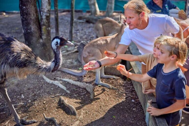 Port Douglas: Breakfast with the Birds - Family-Friendly, Relaxed, and Well-Organized