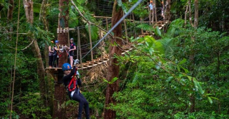 Port Douglas: Daintree National Park Tour, Cruise, & Zipline - How the Tour Balances Value and Experience