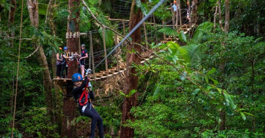 Port Douglas: Daintree National Park Tour, Cruise, & Zipline - How the Tour Balances Value and Experience