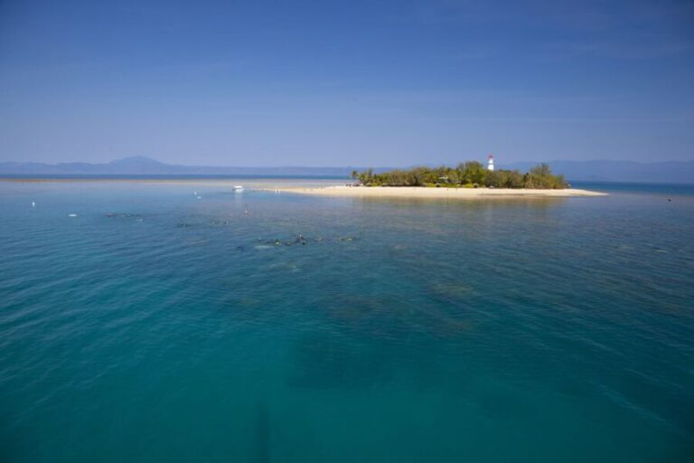 Port Douglas: Low Isles Glass Bottom Boat & Snorkeling Tour - What Makes Low Isles Special?