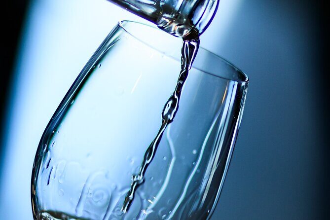 Premium Fraser Valley and White Rock Private Wine Tour - An In-Depth Look at the Experience