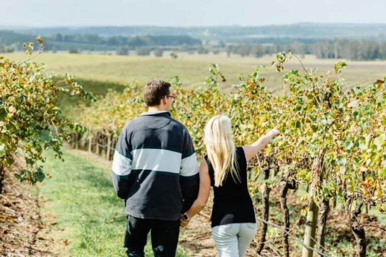 Private Hunter Valley Wine Tour Departing from Newcastle - Why This Tour Works for Different Travelers