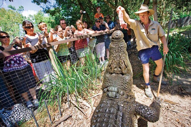 PRIVATE TRANSFER Cairns Airport  Port Douglas Minibus (6am-5pm) - The Route and What You’ll See