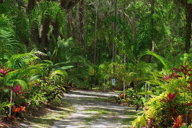 Private Walking Tour to St. John's Botanical Garden - What You Can Expect from This Experience