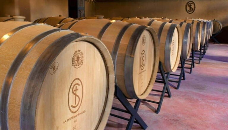 Private Wine Tour from Guanajuato City - Practical Details