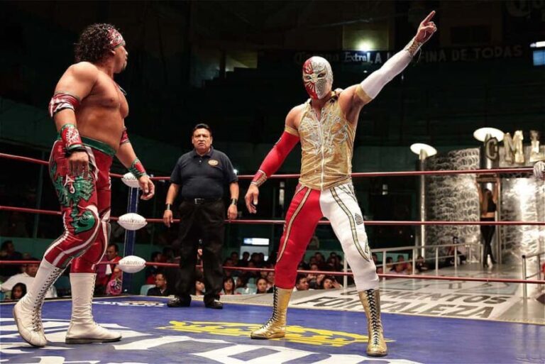 Puebla: Iconic Pro Wrestling Show with Dinner & Drink - What To Expect: The Experience in Detail