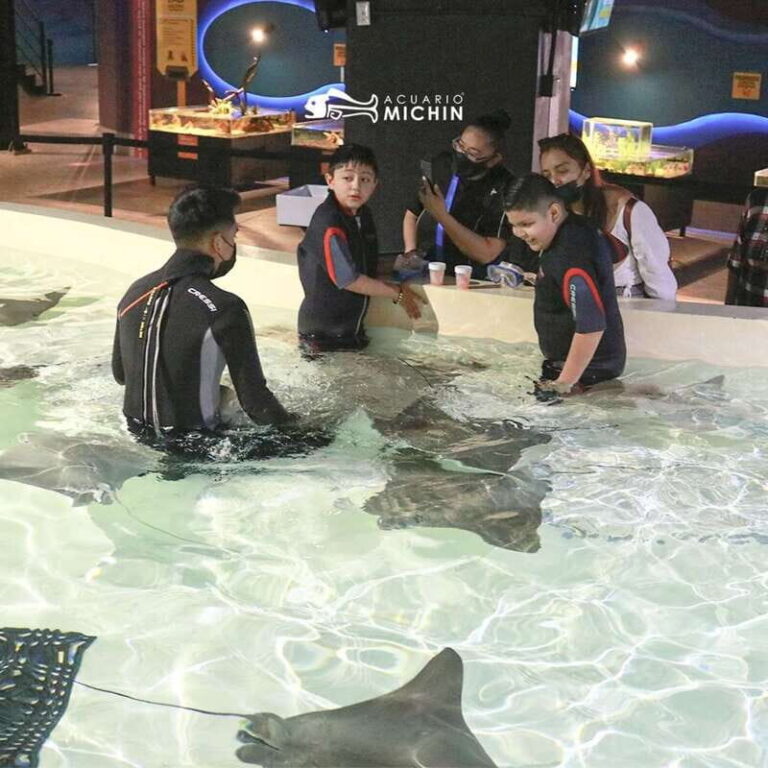 Puebla: Ticket to Aquarium Michin - How the Visit is Structured and What You’ll Experience