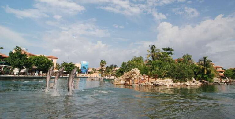 Puerto Aventuras: Manatee Encounter - How Does the Price Stack Up?