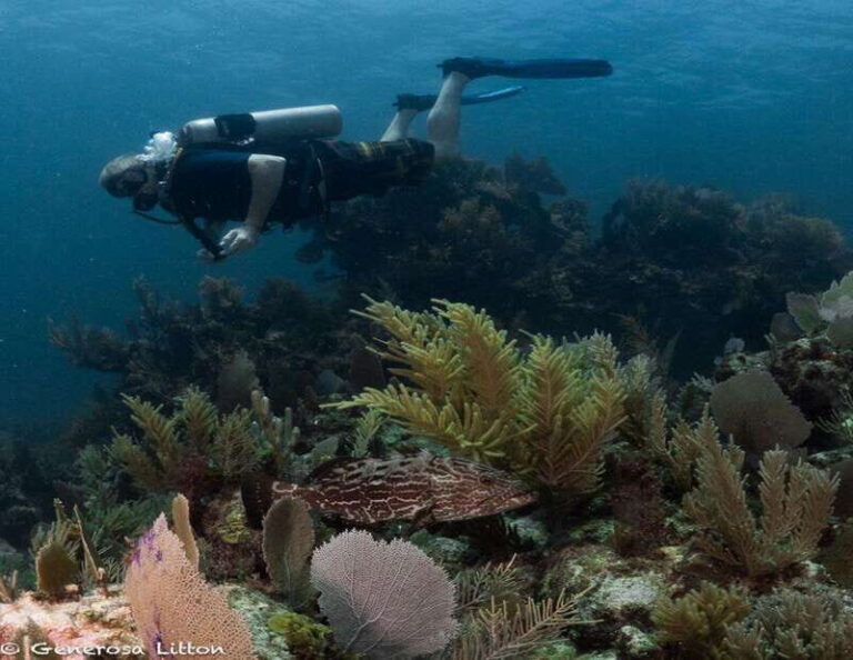 Puerto Morelos: Diving at the C56 Shipwreck - The Itinerary in Detail