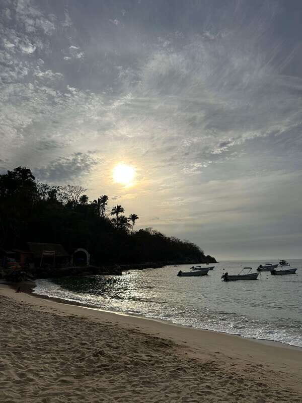 Puerto Vallarta: Bioluminescence in Los Arcos Marine Park - Exploring the Itinerary