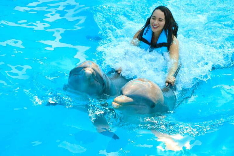 Puerto Vallarta: Dolphin Swimming and Aquaventuras Park - What’s the Real Value?