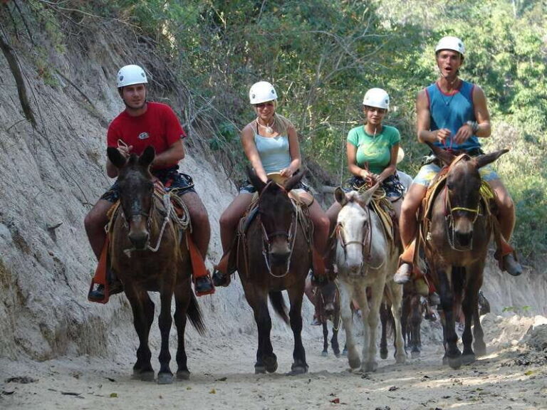 Puerto Vallarta: Outdoor Ziplines and Rappel Adventure - Zip Lines through the Rainforest