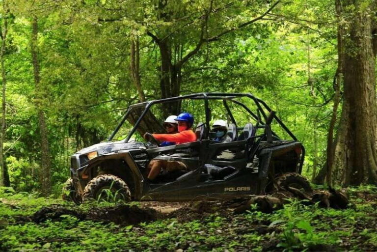 Puerto Vallarta: RZR Canopy River - The Perfect Adventure for Many Travelers