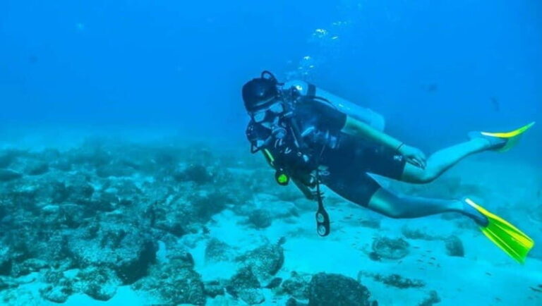 Puerto Vallarta: Scuba Dive at Los Arcos - Who Should Consider This Tour?