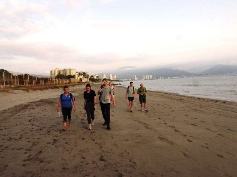 Puerto Vallarta: Sea turtle release at Sunset - What’s Included & What’s Not