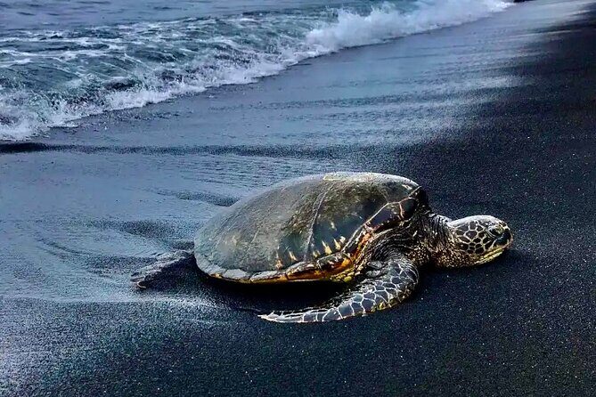 Punaluu Black Sand Beach Tour - Volcanoes National Park & Hilo - The Itinerary: A Closer Look