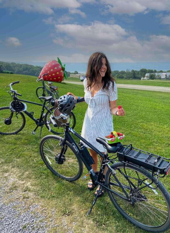 Quebec City: Ile d'Orléans Guided E-Bike Tour with Tastings - Who Will Love This Tour?