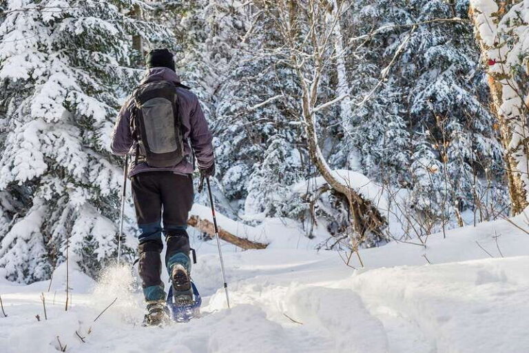Quebec City: Jacques-Cartier National Park Snowshoeing Tour - The Value for Money