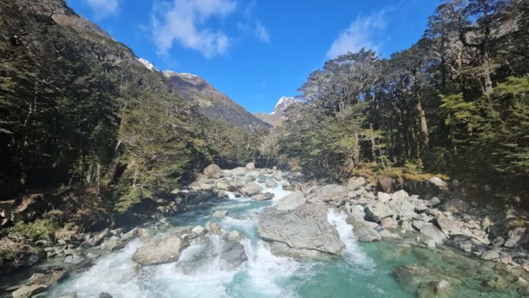 Queenstown: Routeburn Track Guided Full-Day Walk or Half Day - Who Will Love This Tour?