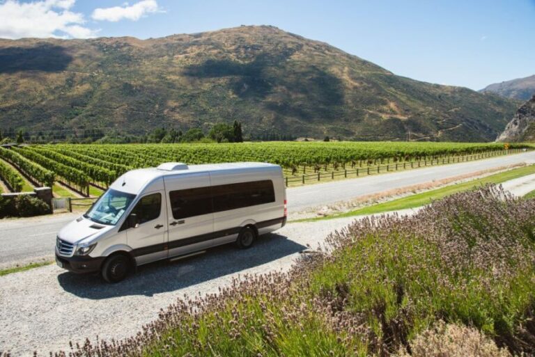Queenstown: Twilight Wine and Craft Beer Tour - What the Tour Includes