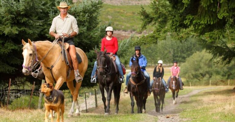 Queenstown: Walter Peak Horse Trek & Queenstown Lake Cruise - What’s Included and What’s Not