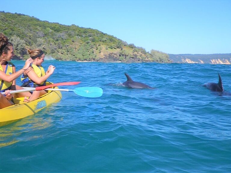 Rainbow Beach: Kayaking with Dolphins and Beach 4WD Tour - The Details: Logistics and Practical Considerations