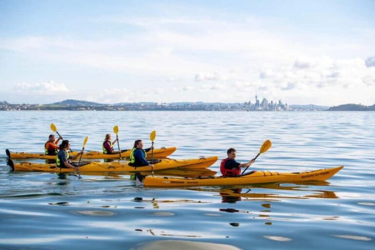 Rangitoto Island: Sea Kayak & Summit Hike Day Trip - Detailed Breakdown of the Itinerary & Highlights