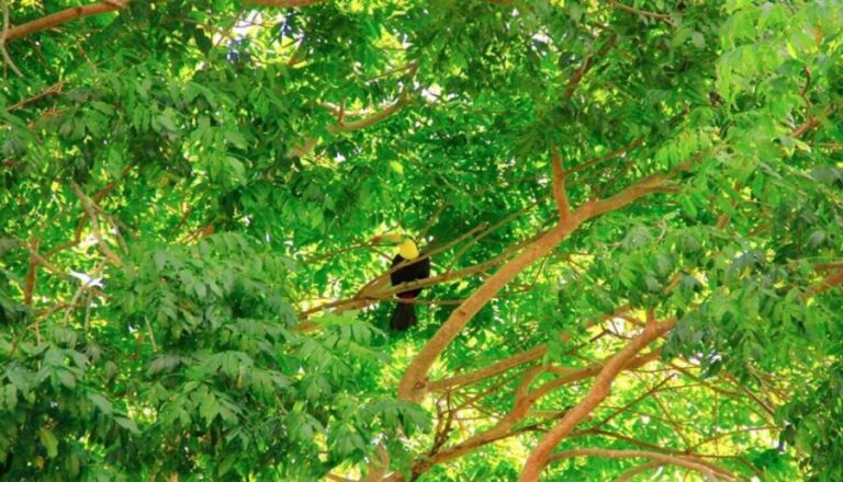 Riviera Maya: Horseback Riding at Rancho Bonanza - The Itinerary in Detail