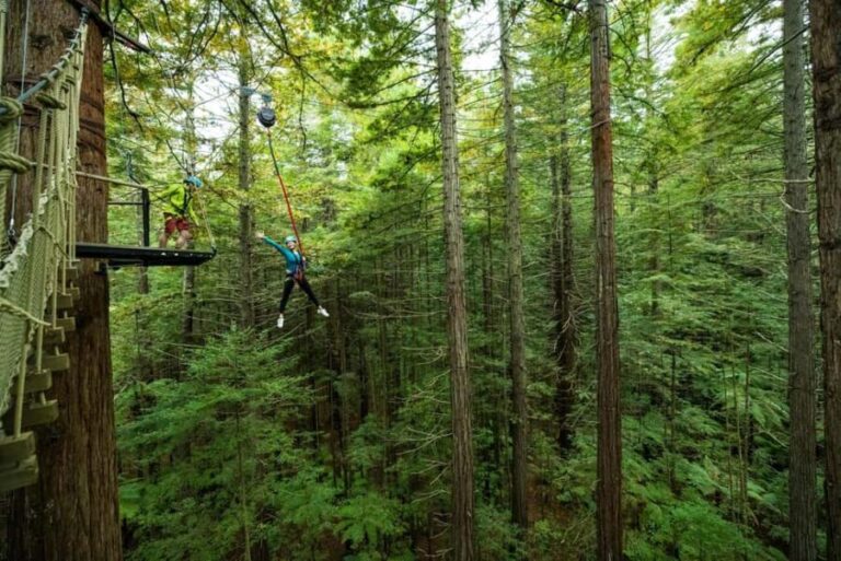 Rotorua: Redwoods Altitude High Ropes Adventure - Practical Tips for Your Visit