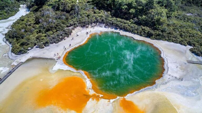 Rotorua: to Auckland via WaiOTapu, Taupo & Hamilton Gardens - What the Tour Includes and Excludes