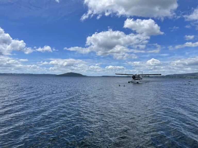 Rotorua: White Island, Mount Tarawera & Waimangu Volcanic - What to Expect from the Tour