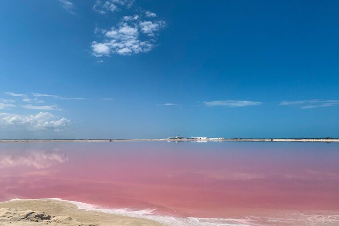 Safari in Rio Lagartos, Coloradas and Mayan Bath - What the Tour Feels Like