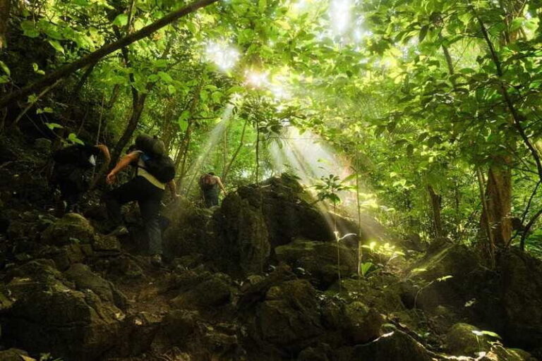 San Cristobal: Arc of Time Chiapas - What’s Included and How It Adds Value