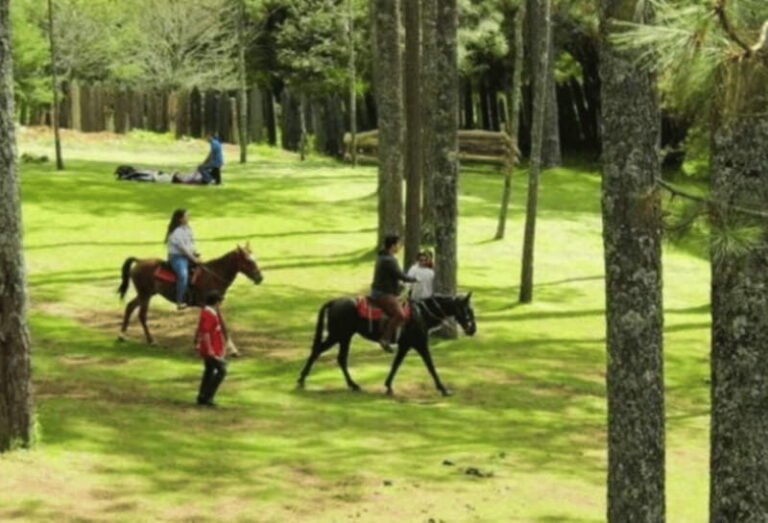 San Cristóbal: Arcotete Ecotourism Park & Rancho Nuevo Caves - Exploring the Rancho Nuevo Caves