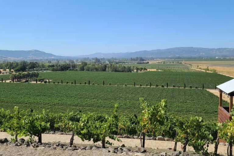 San Francisco: Half-Day Wine Tour with 2 Tastings Included - The Experience: What You’ll Love and What to Consider