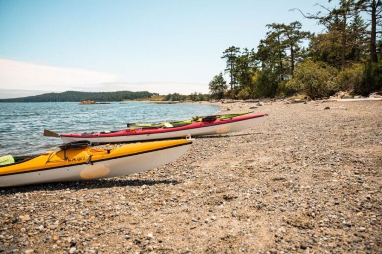 San Juan Island: 3-h Griffin Bay Tour - Practical Details to Know